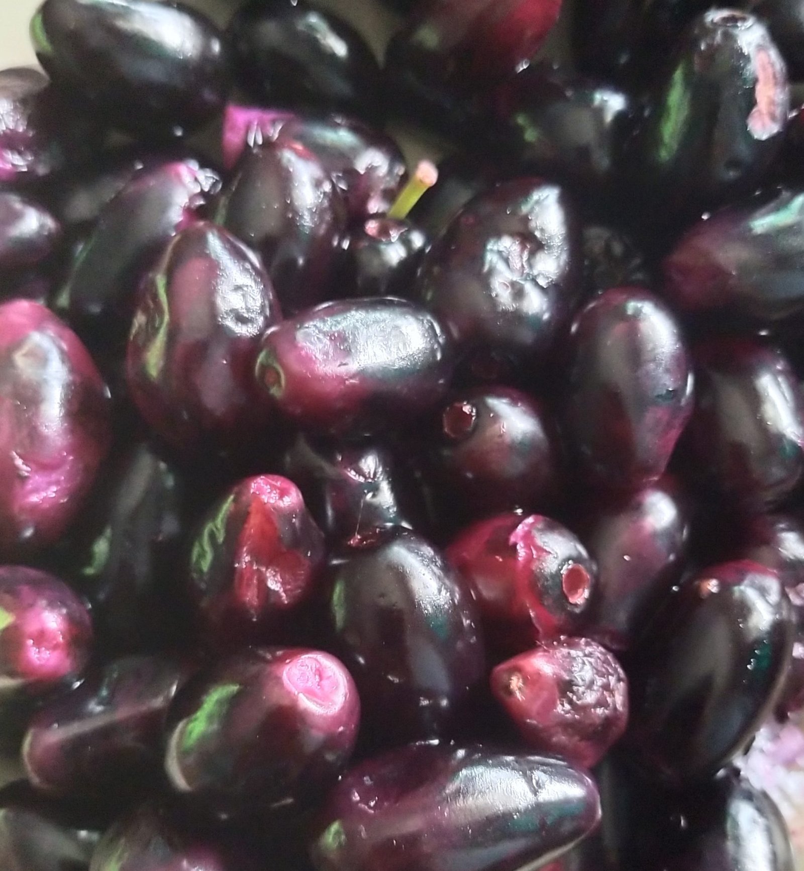 Manfaat Buah Juwet Bagi Tubuh - AswajaNews